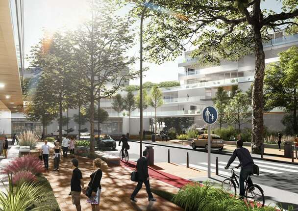 Marina Dorćol | SEBRE