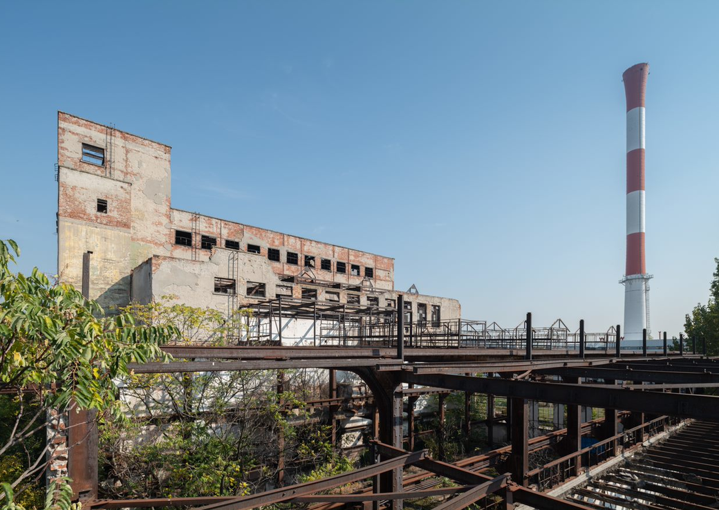 Marina Dorćol | SEBRE